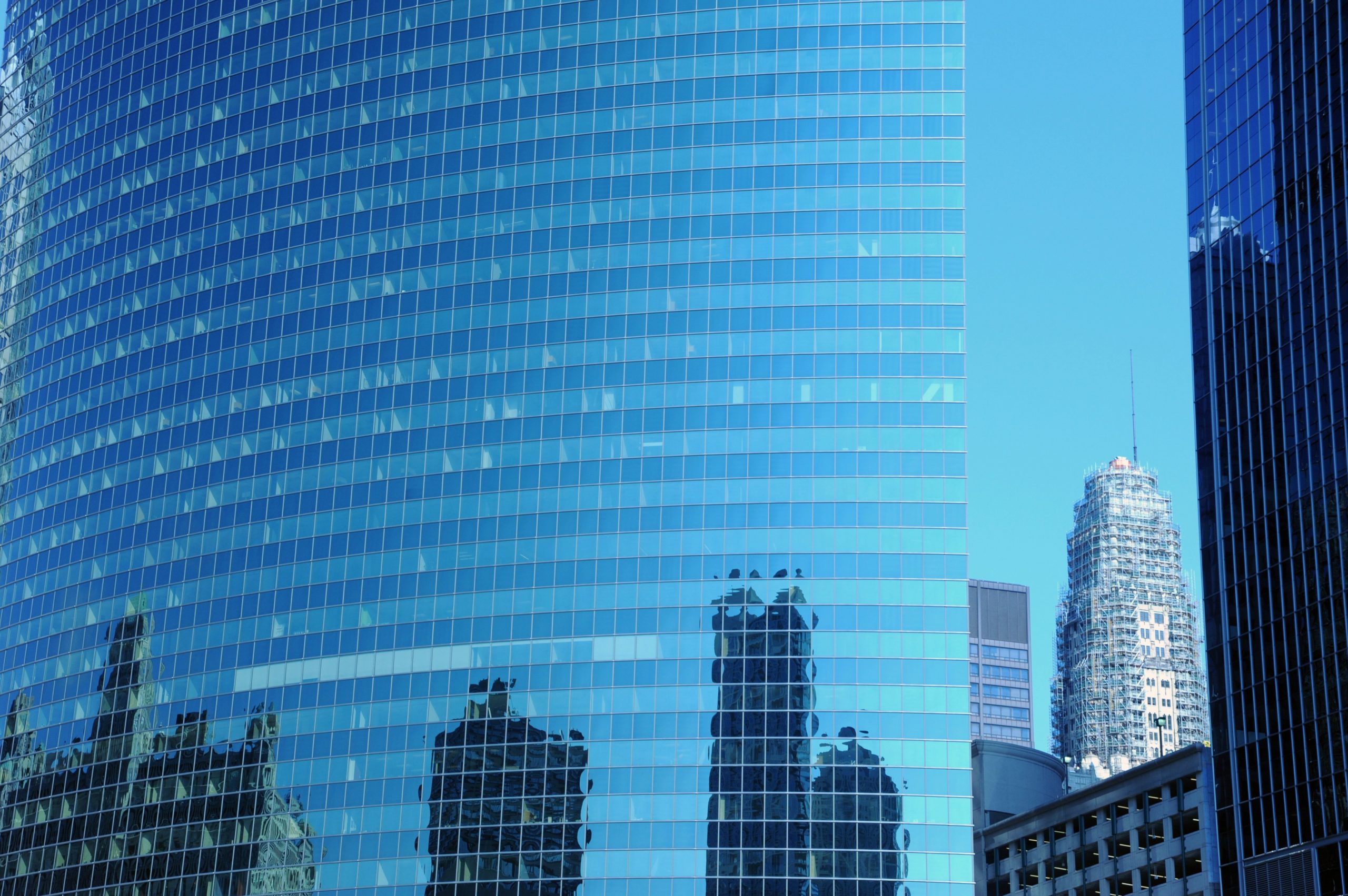 Successfully Navigating Your Career In A Big Four Firm Exenest Exenest